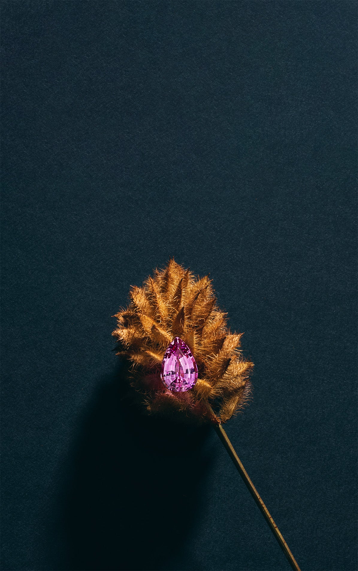 Niche Gemstones – Jochen Leën